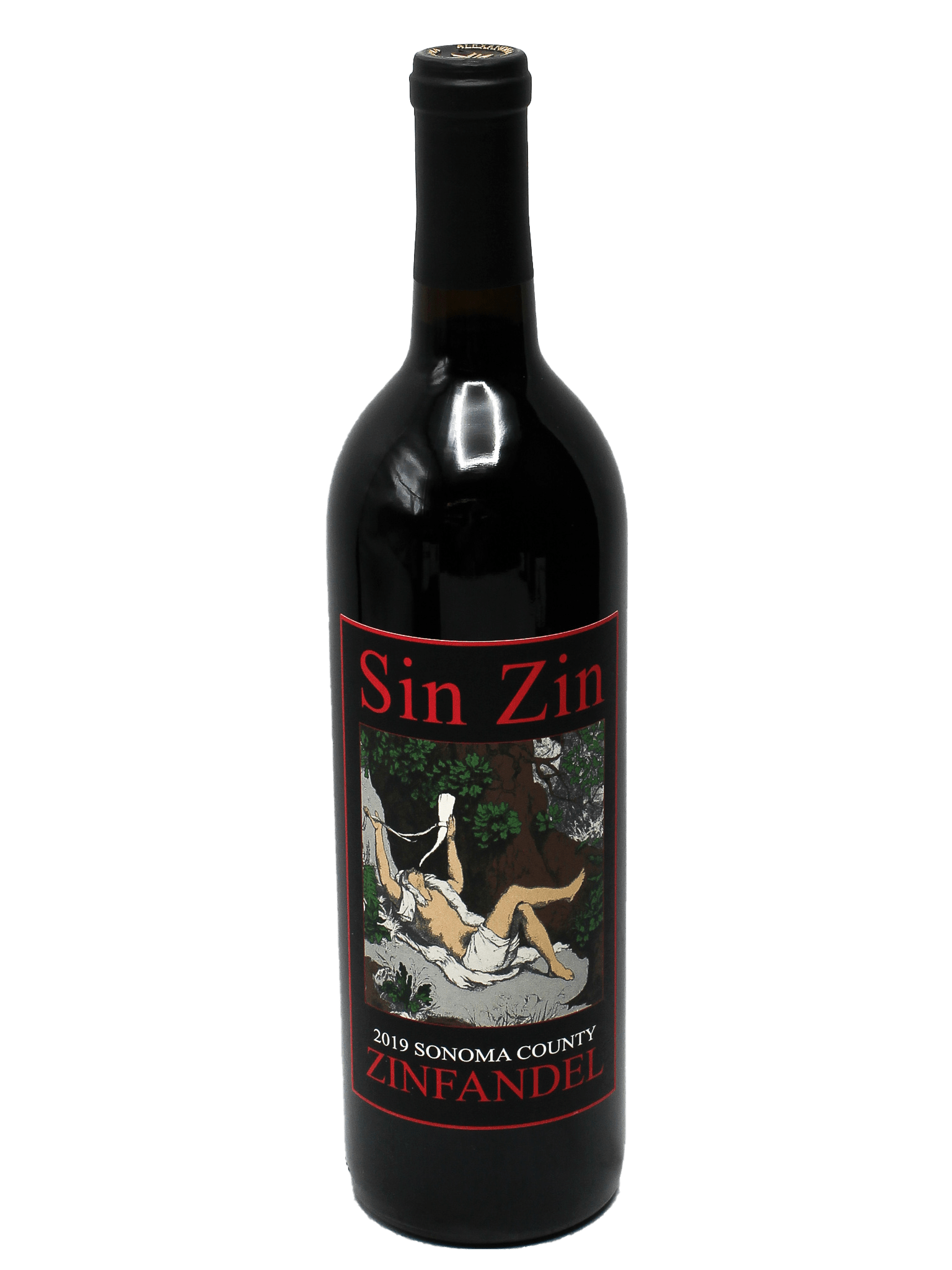 Buy 2020 Alexander Valley Vineyards Sin Zin - Bottle Barn