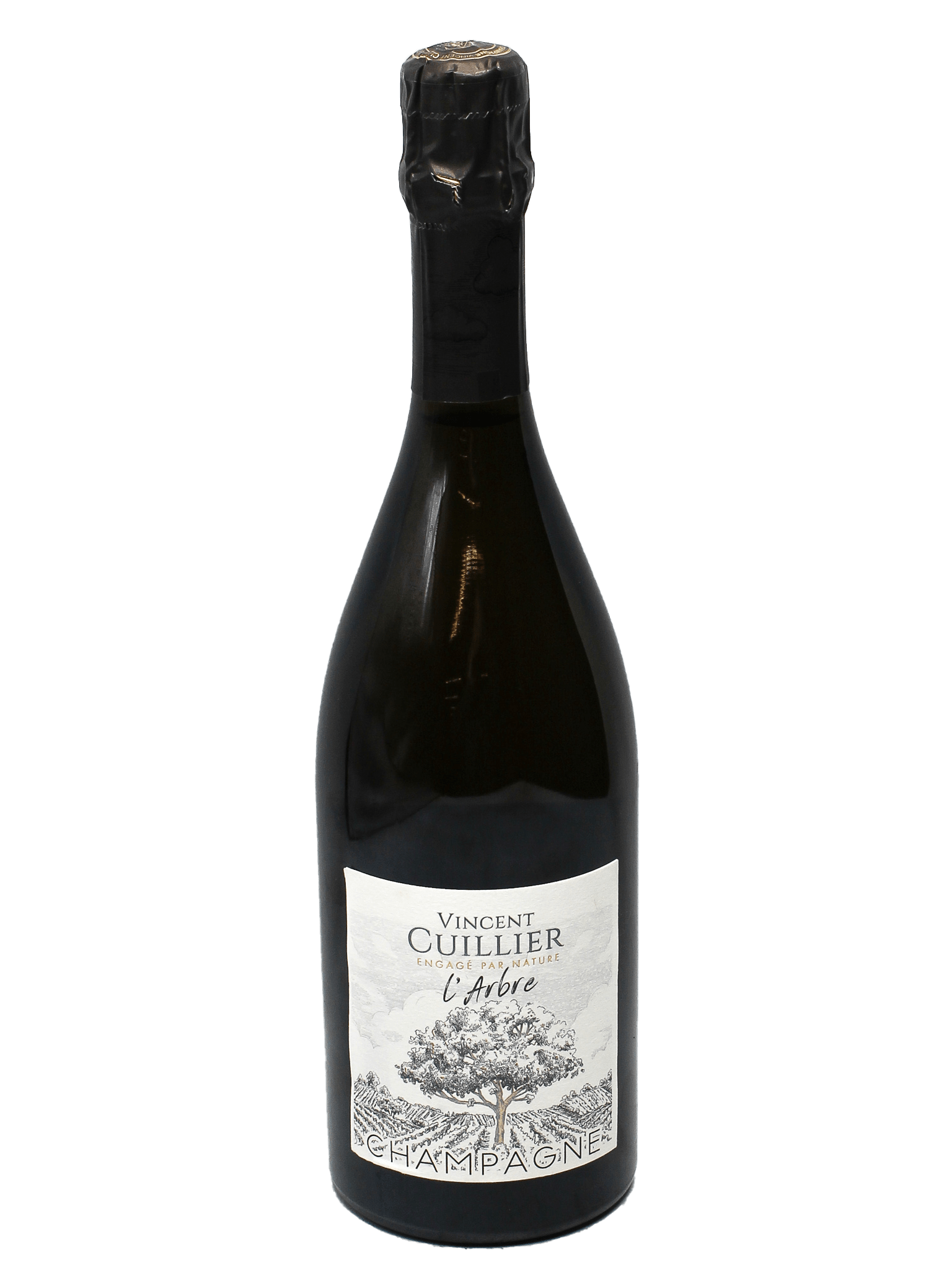 2019 Vincent Cuillier L'Arbre Blanc de Noirs Brut Nature [V90]