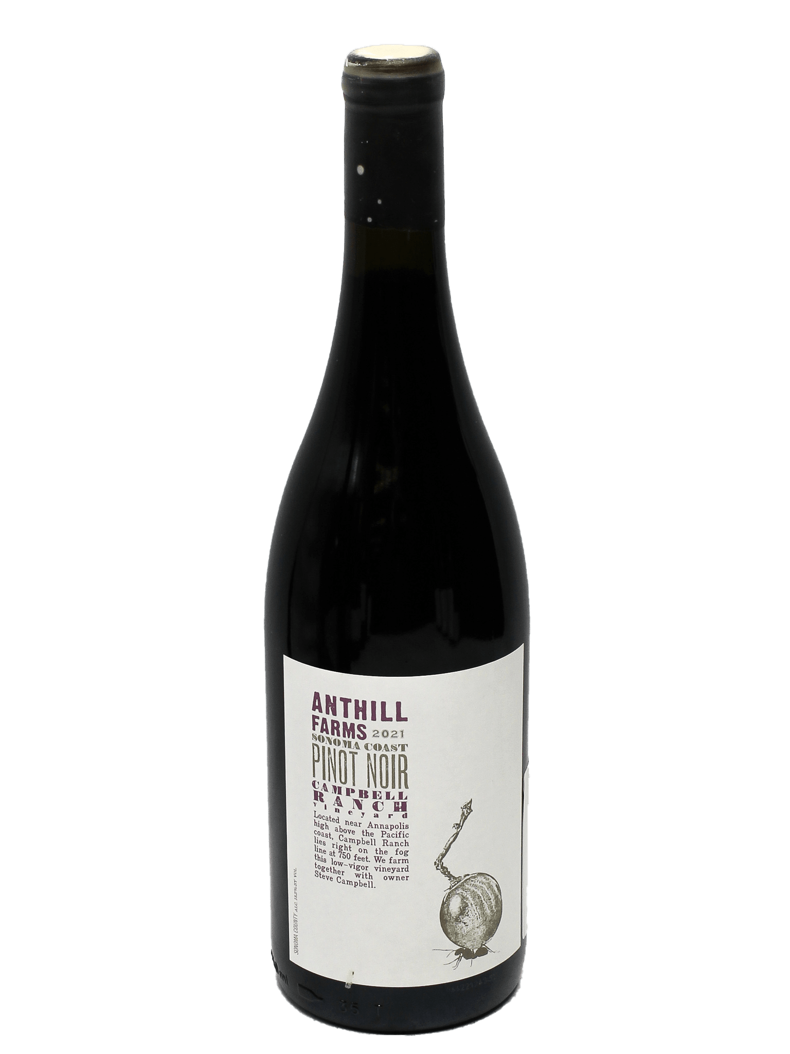 2023 Anthill Farms Campbell Ranch Vineyard Pinot Noir [WA95]