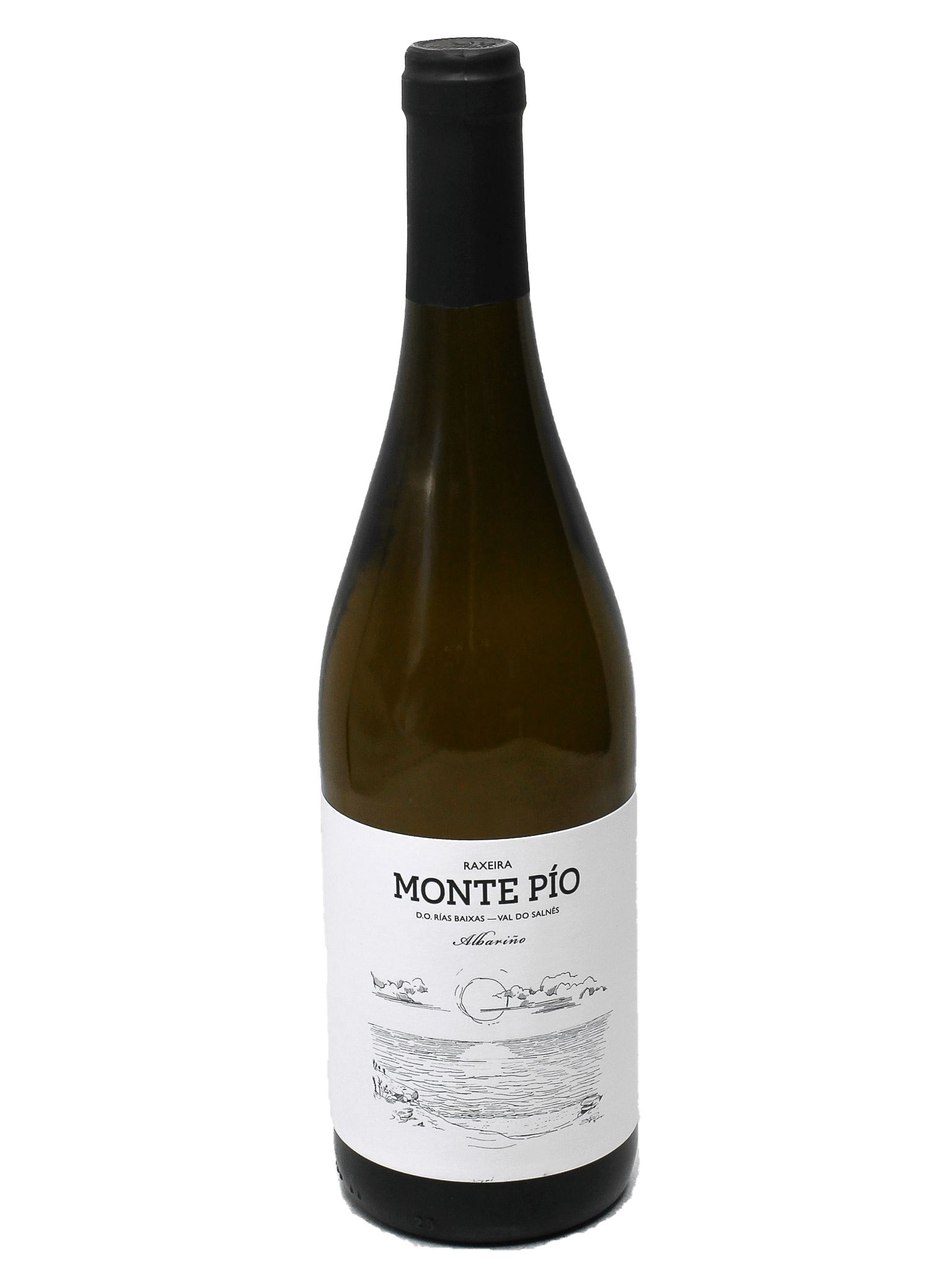 2024 Monte Pio Raxeira Albarino
